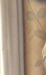 Tina Renay Daigle Obituary - Welsh, LA Tina Renay Daigle Obituary - Welsh, LA