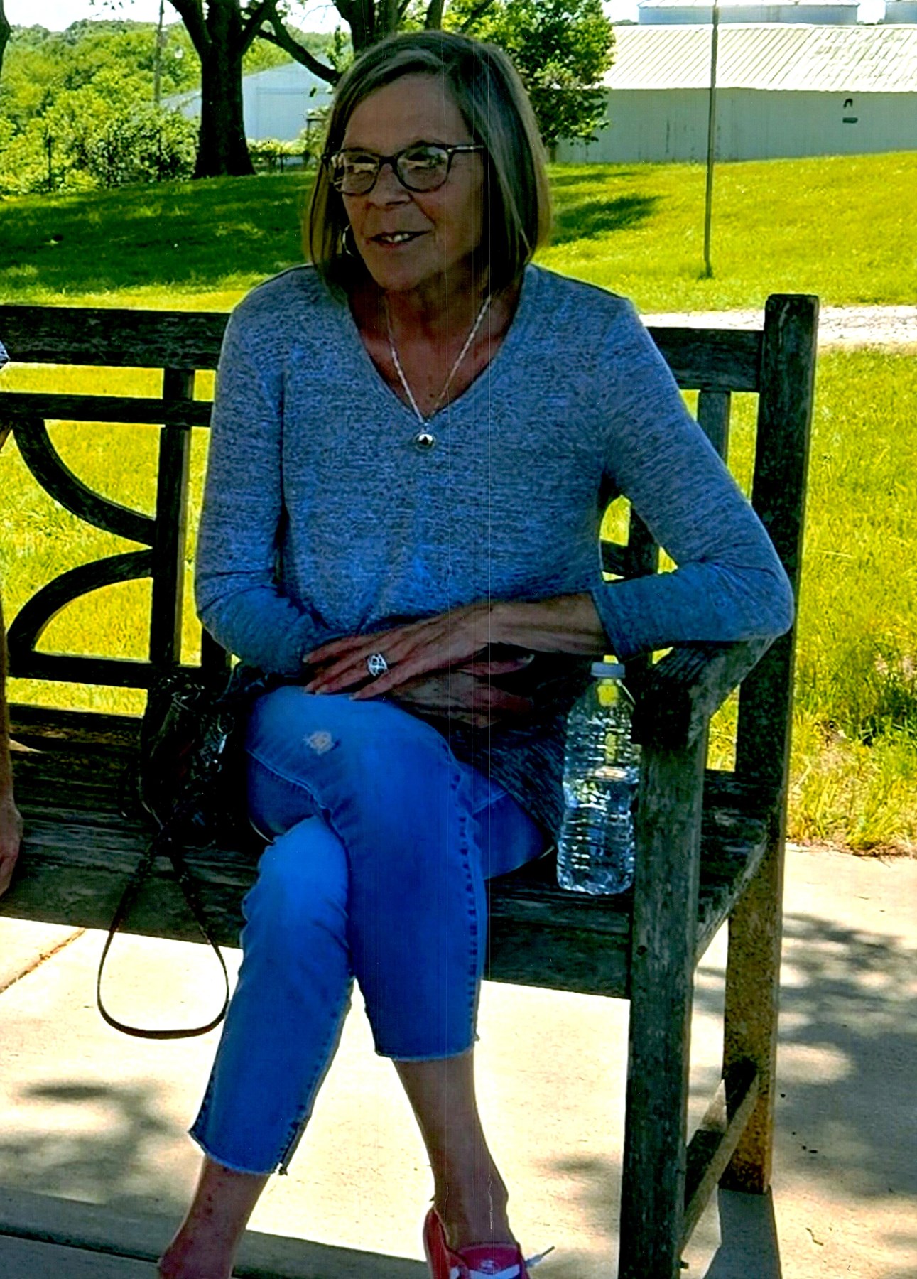 Debra Boggs Obituary - Springfield, IL