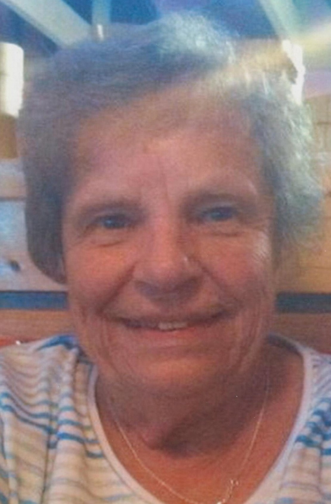 Carole Hammett Obituary - Auburn Hills, MI