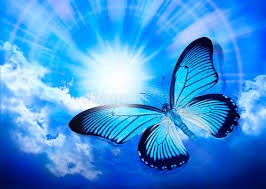 Patricia Difranco Obituary - Charlotte, NC