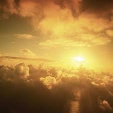 Daisy Muir Obituary - Portland, OR