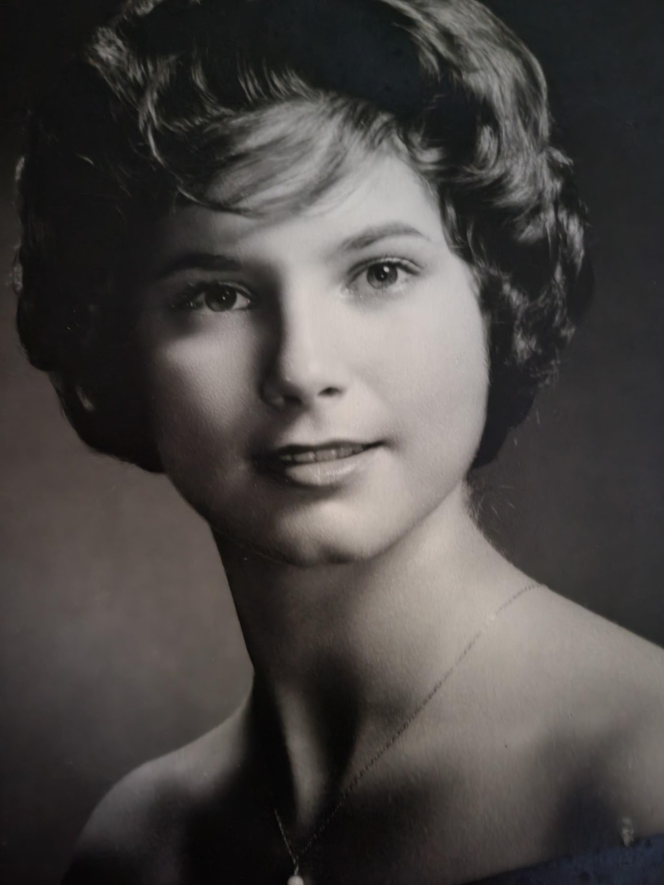 Sherri Ludwig Obituary - Sarasota, FL