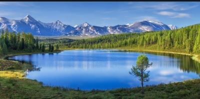 Louis Victor Saccoccio Obituary - Pelham, AL