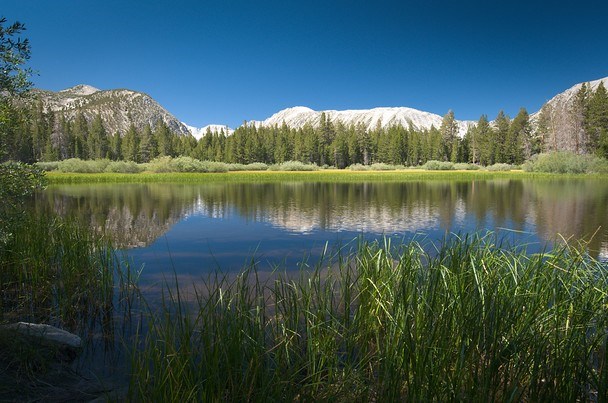 Robert Spohn Obituary - Queens Village, NY