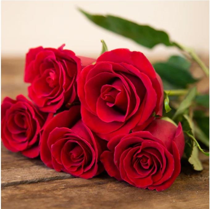 Gloria Jimenez Obituary - Houston, TX Gloria Jimenez Obituary - Houston, TX