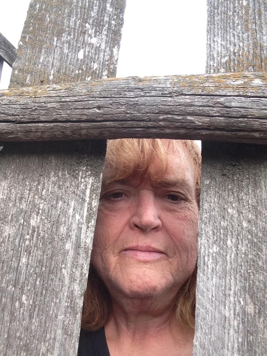 Sharon Nicholson Obituary - Assiniboia, SK