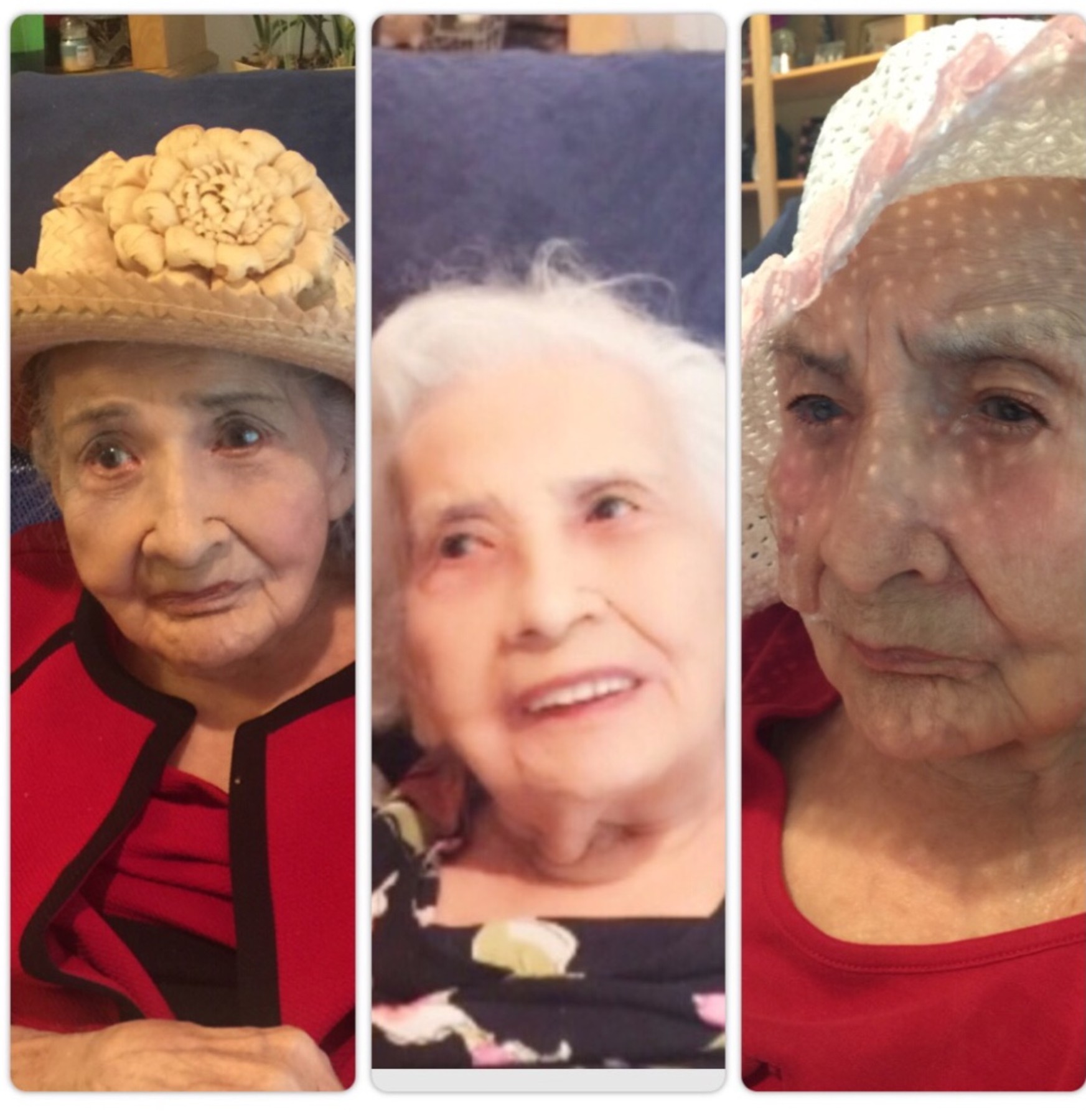 Lori Romeo's Instagram, Twitter & Facebook on IDCrawl