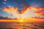 Bellevue, WA Obituaries Online | Find Bellevue Obituaries