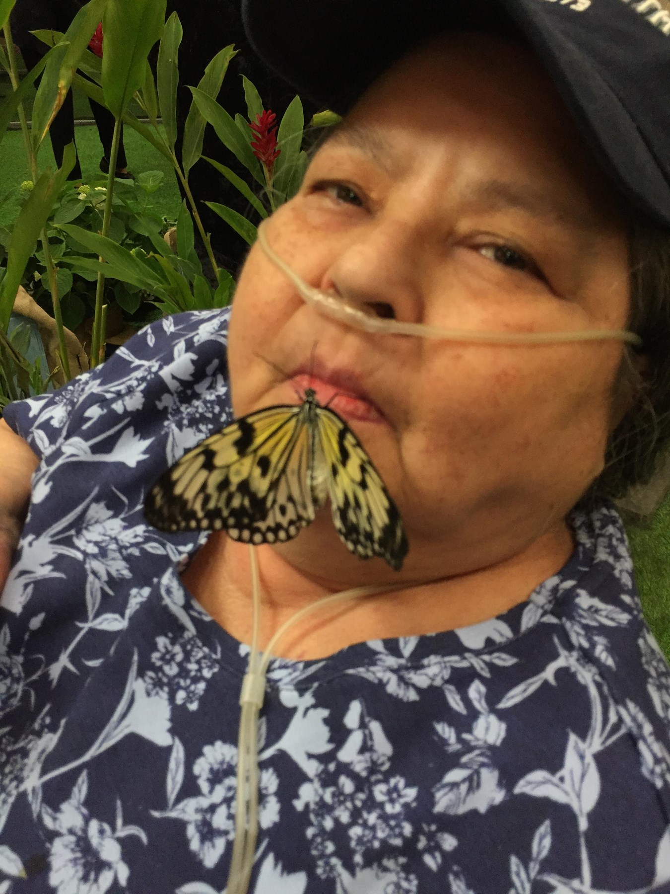 Carol Baxter Obituary - Levittown, PA