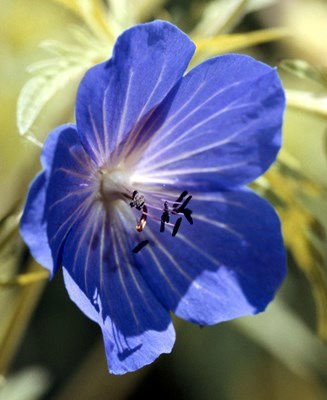 Gary Sexton Obituary - Hamilton, OH