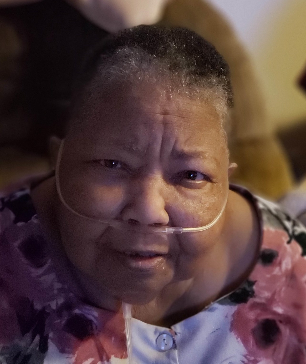 Sandra Armstead Obituary - Williamsburg, VA