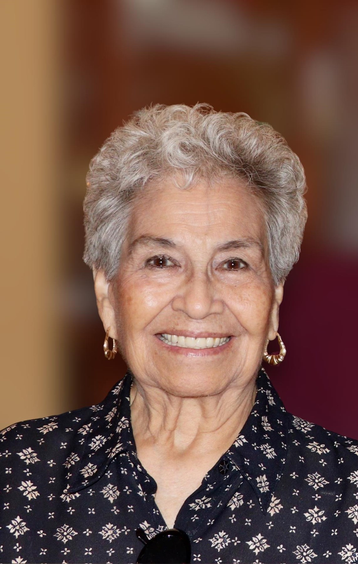 Otilia Ortiz Obituary - Houston, TX
