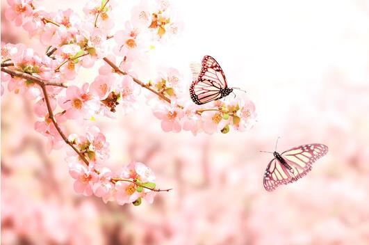 Nilda Almaguer Obituary - Miami, FL
