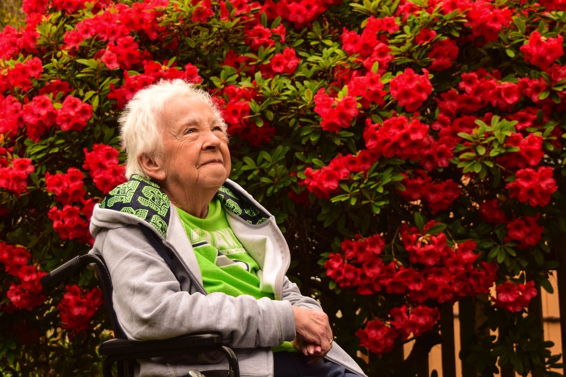 Diane Pape Obituary - Tumwater, WA