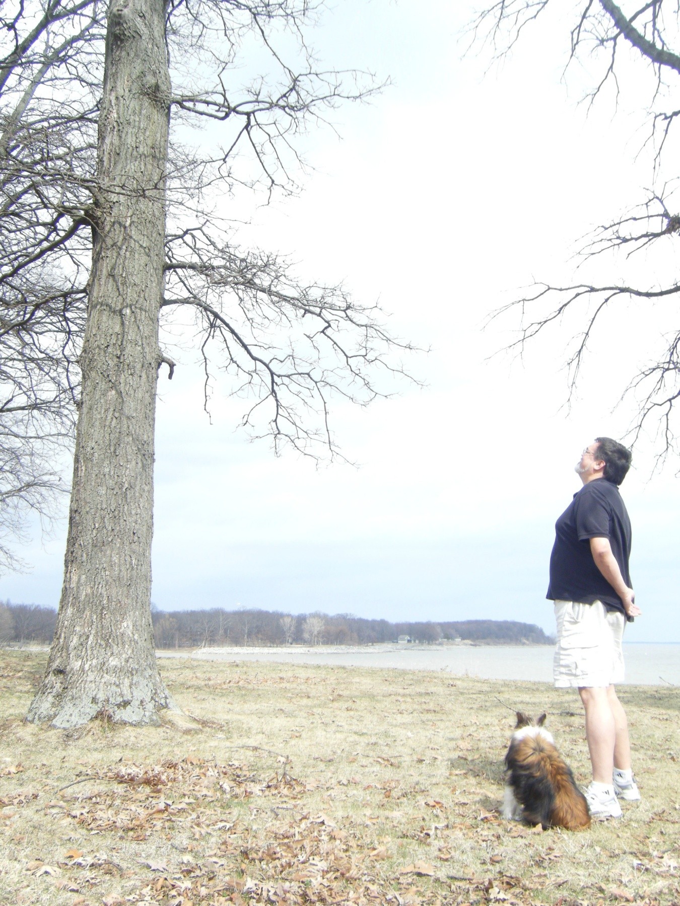 Mr. Timothy R. Morse Obituary - St. Louis, MO