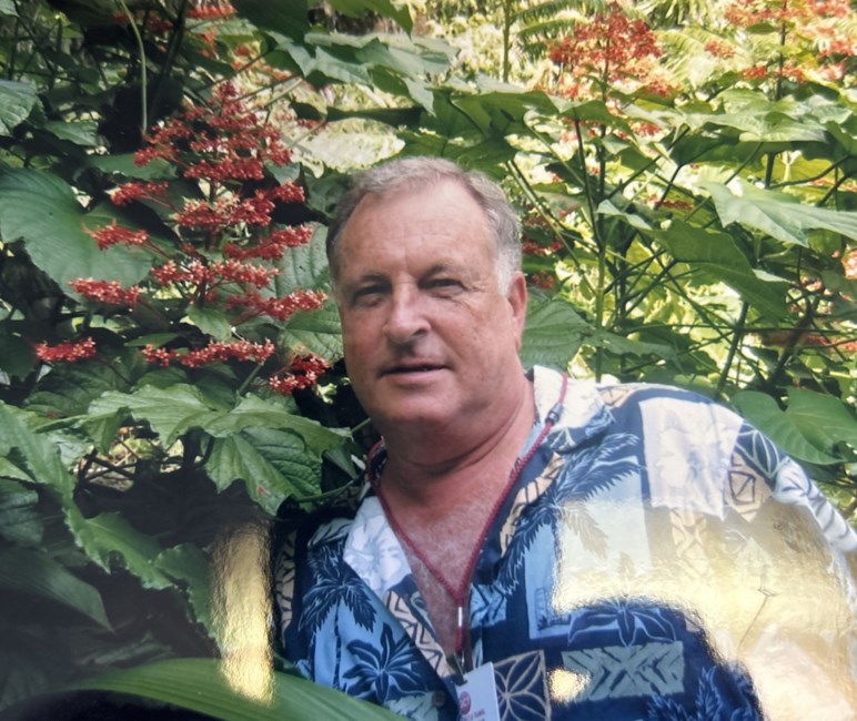 David Hutter Obituary - Thousand Oaks, CA