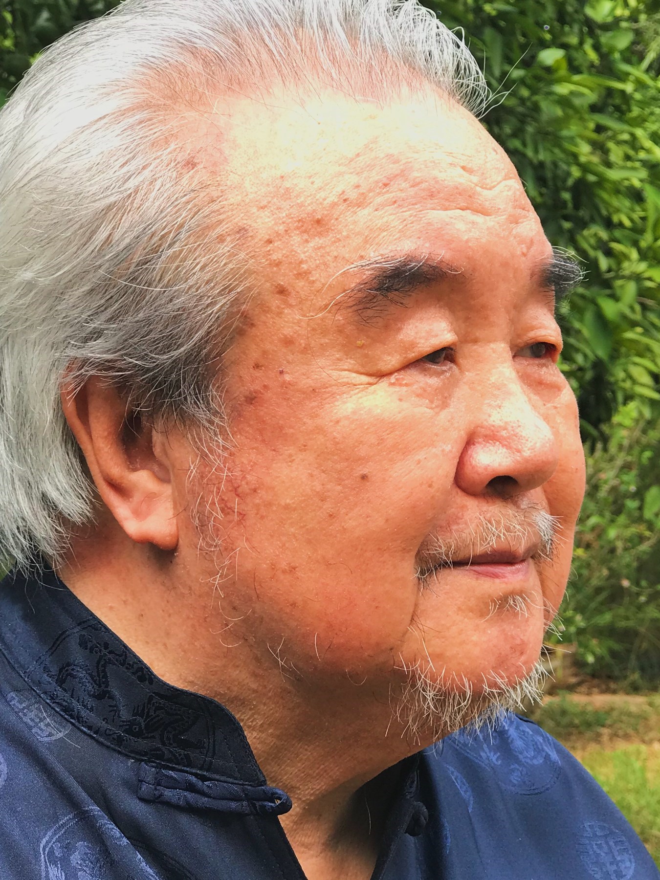 Wenyan Li Obituary - Houston, TX