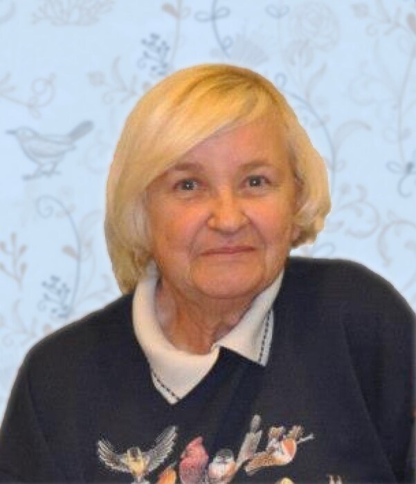 Sandra DeBarr Obituary - Middleburg Heights, OH