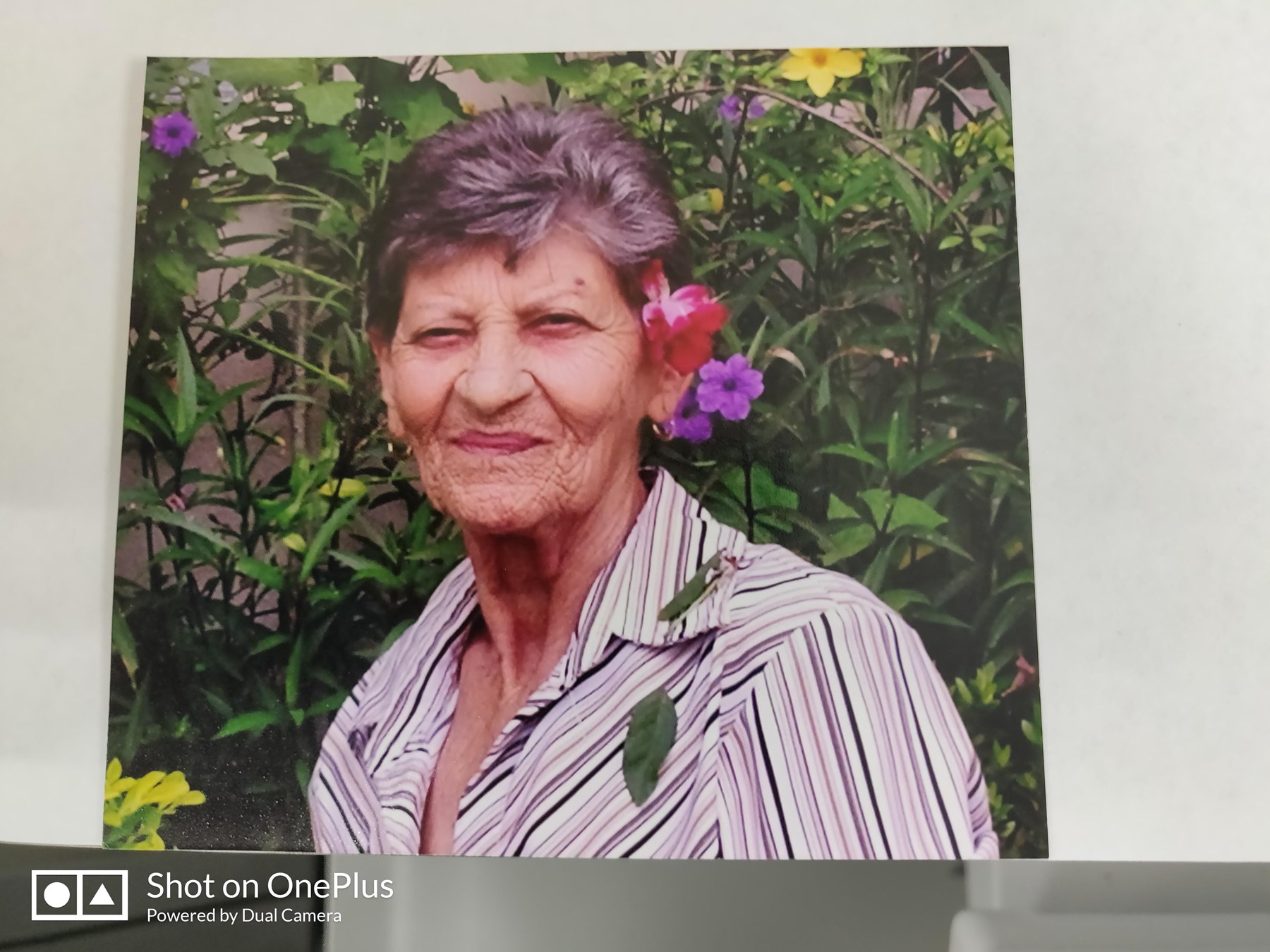 María Teresa Cotto Rodríguez Obituary - Bayamon, PR
