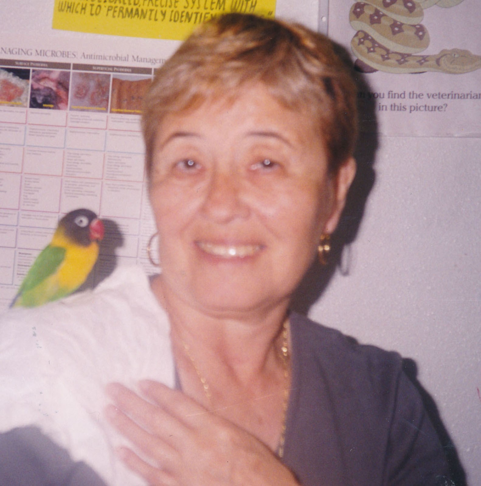 Mary B. DeAnda Obituary - Bonita, CA