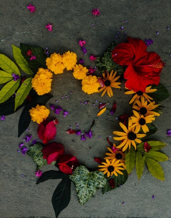 Jenny Beranek Obituary - Portland, OR