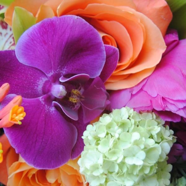 Amanda Jane Fox Obituary - North Hollywood, CA