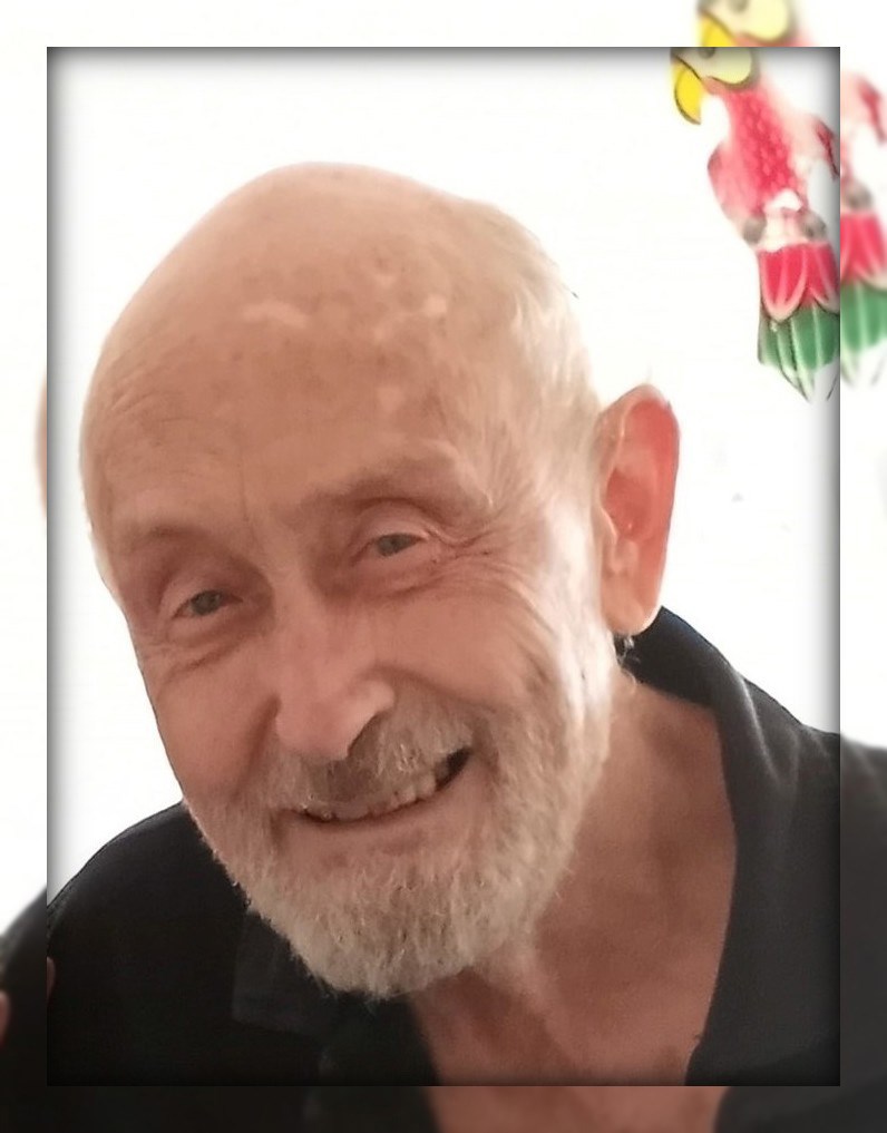 Leonard Edward Van Daele Obituary - Sault Ste. Marie, ON