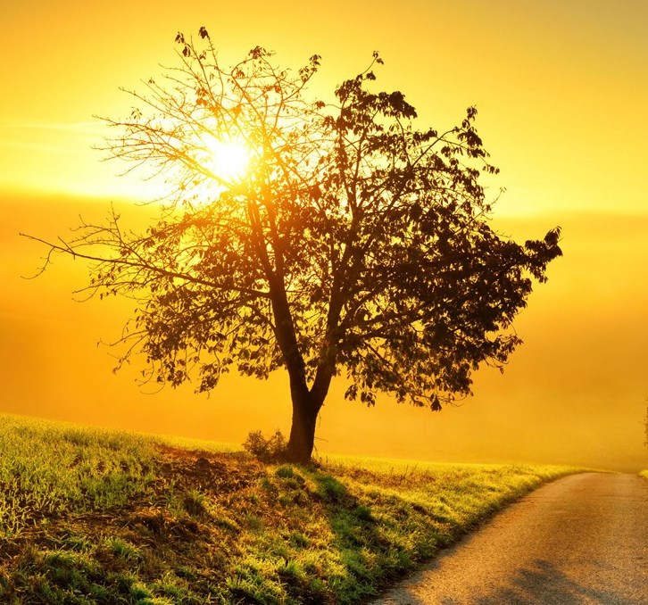 Richard Ledbetter Obituary - Goodlettsville, TN