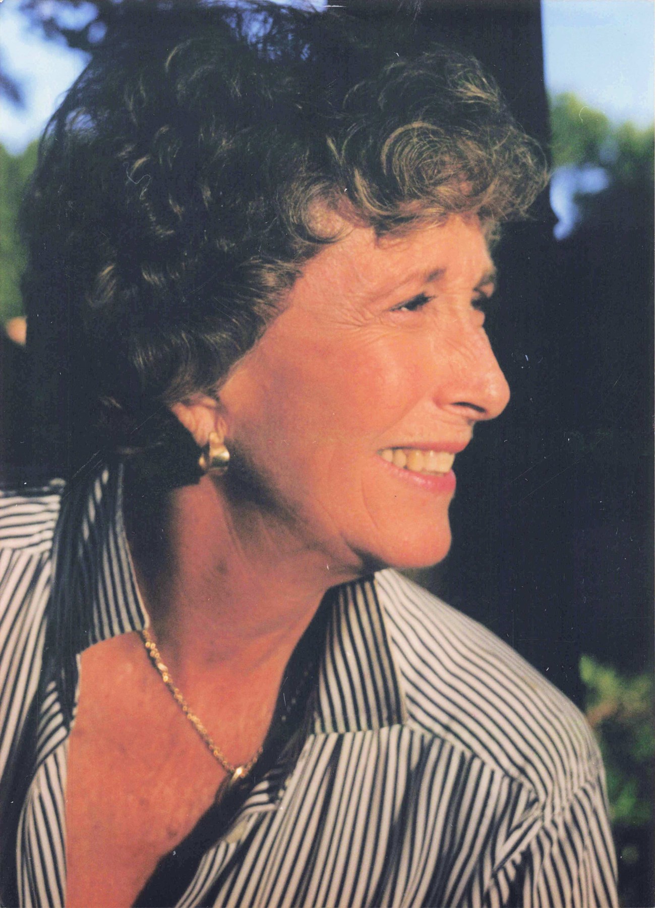 Nancy Sher Obituary - Clearwater, FL