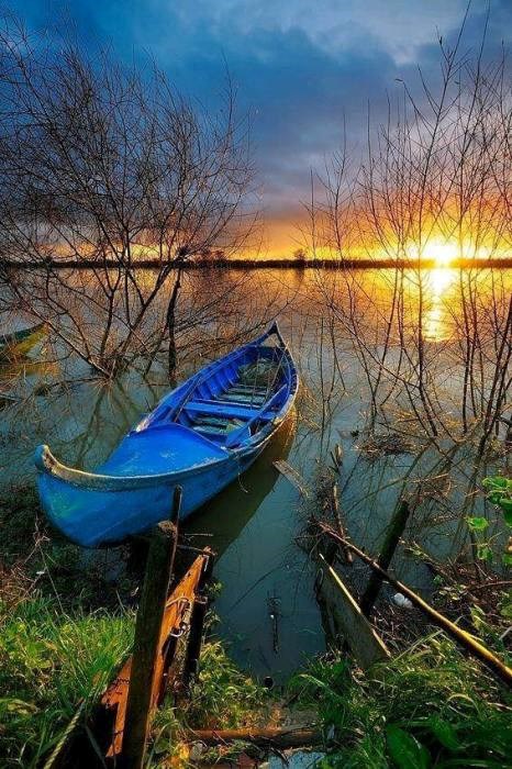 Ronald PATTEN Obituary - Parksville, BC