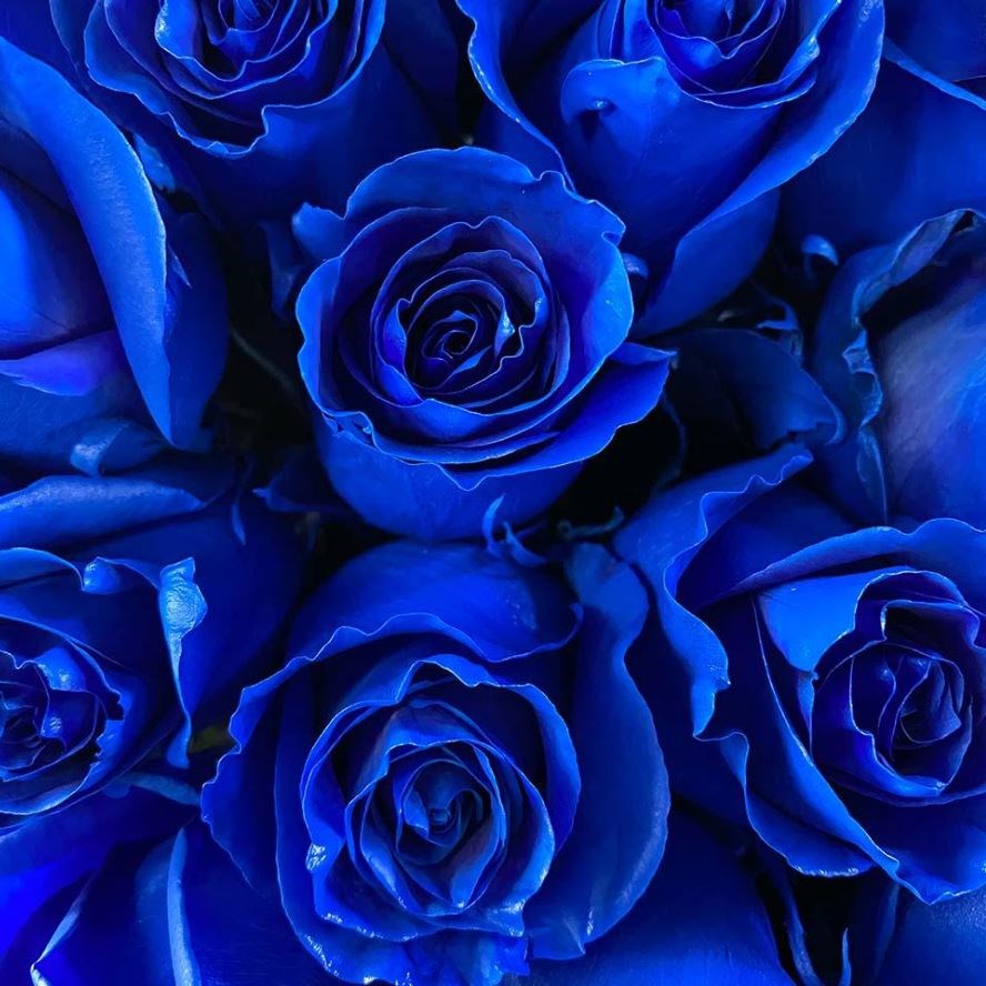 Dean MONAHAN Obituary - Kingwood, TX