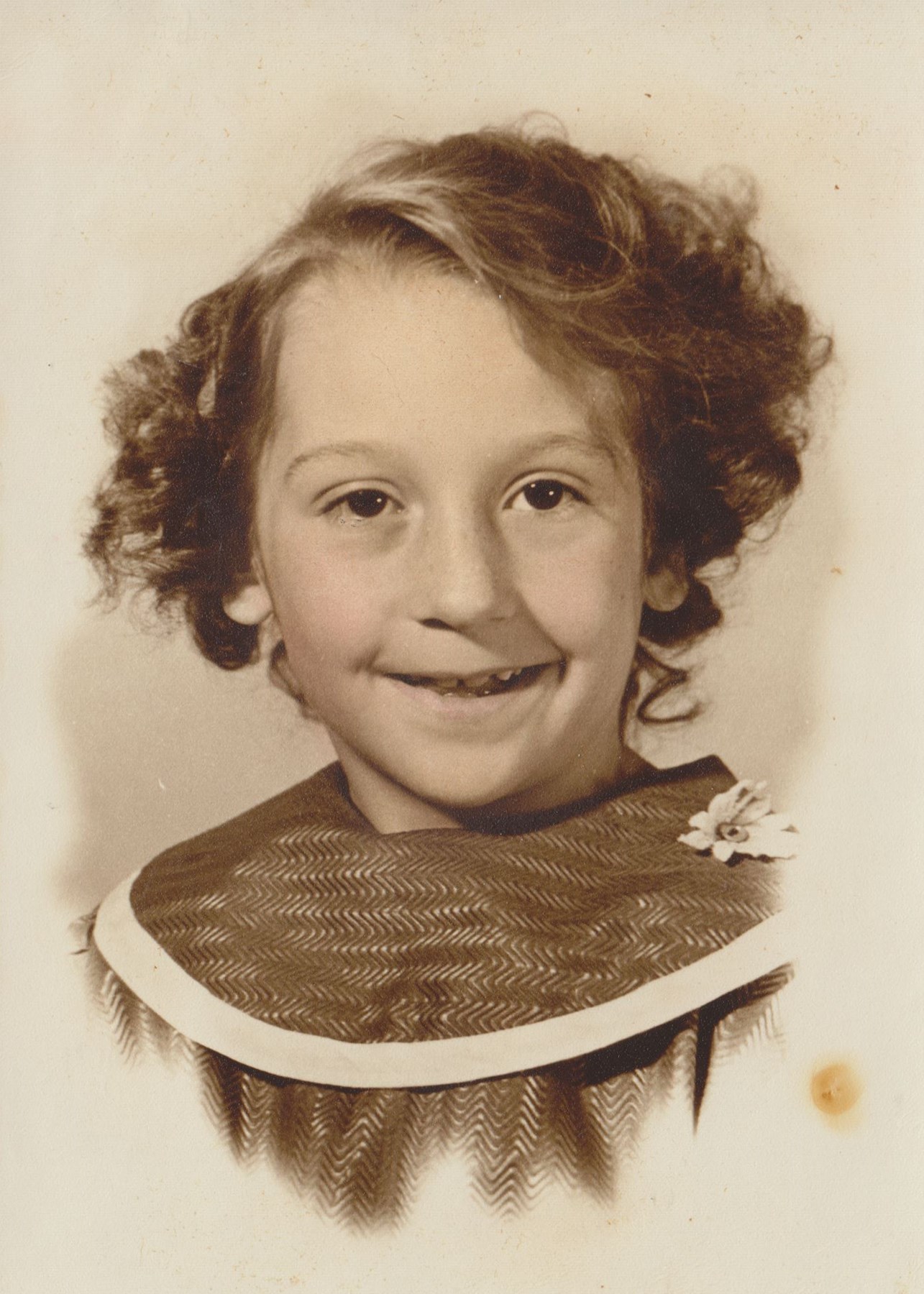 Susan Beeler's Instagram, Twitter & Facebook on IDCrawl