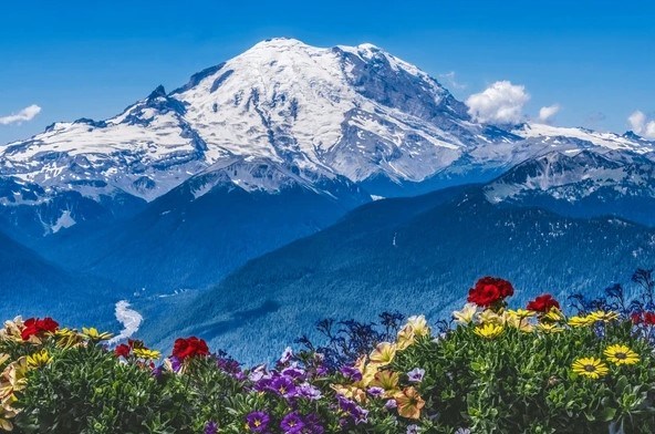 Christopher Calcano Obituary - Portland, OR