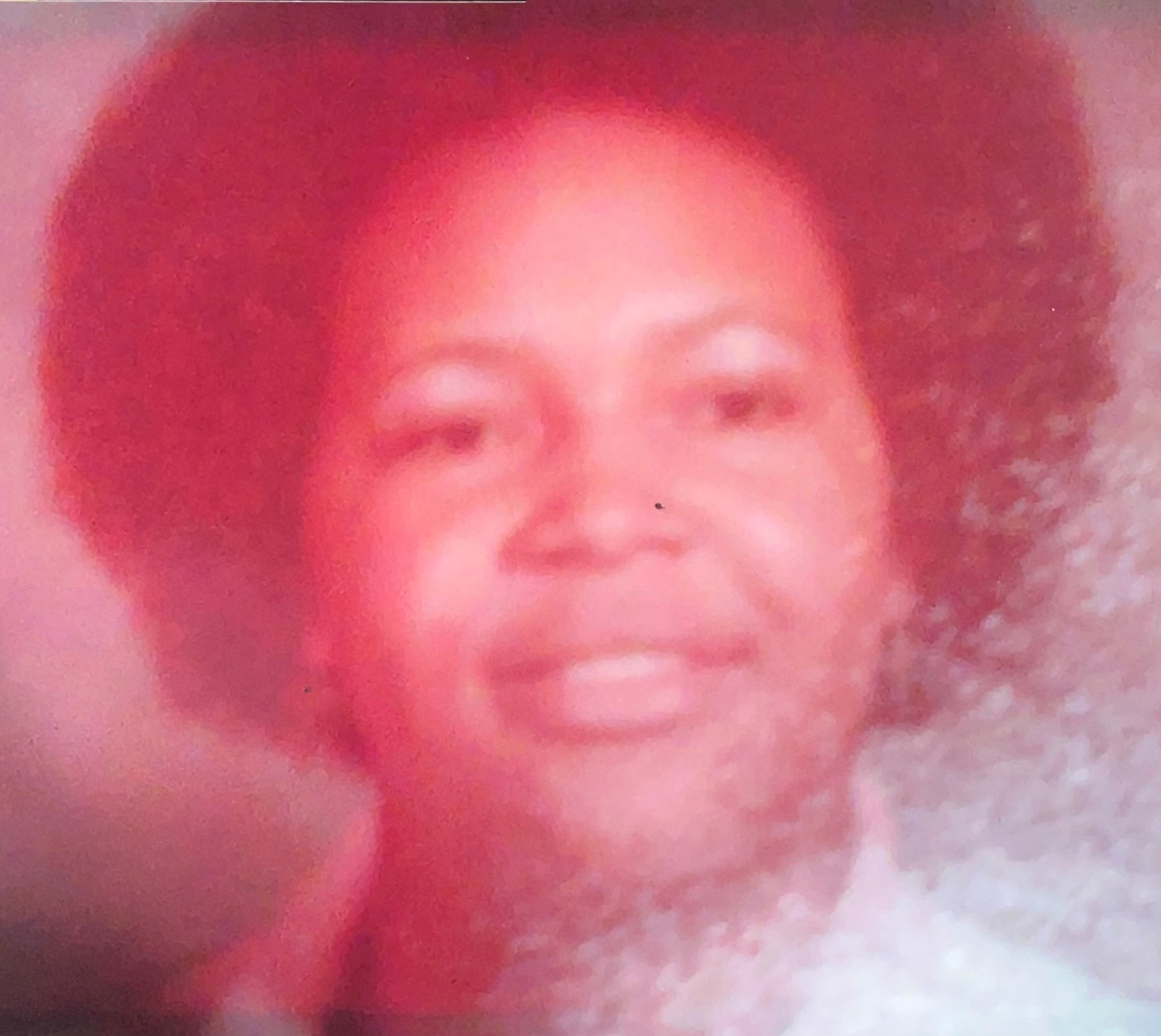 Linda Holloway Obituary - Memphis, TN