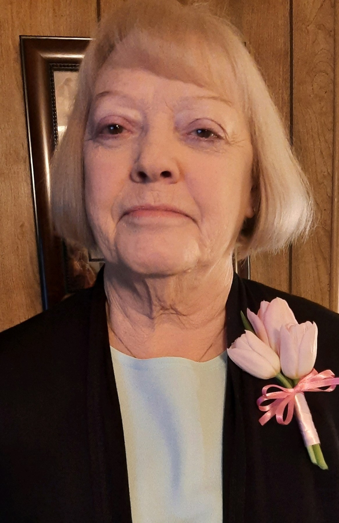 Nancy Hanes Obituary - Goodyear, AZ