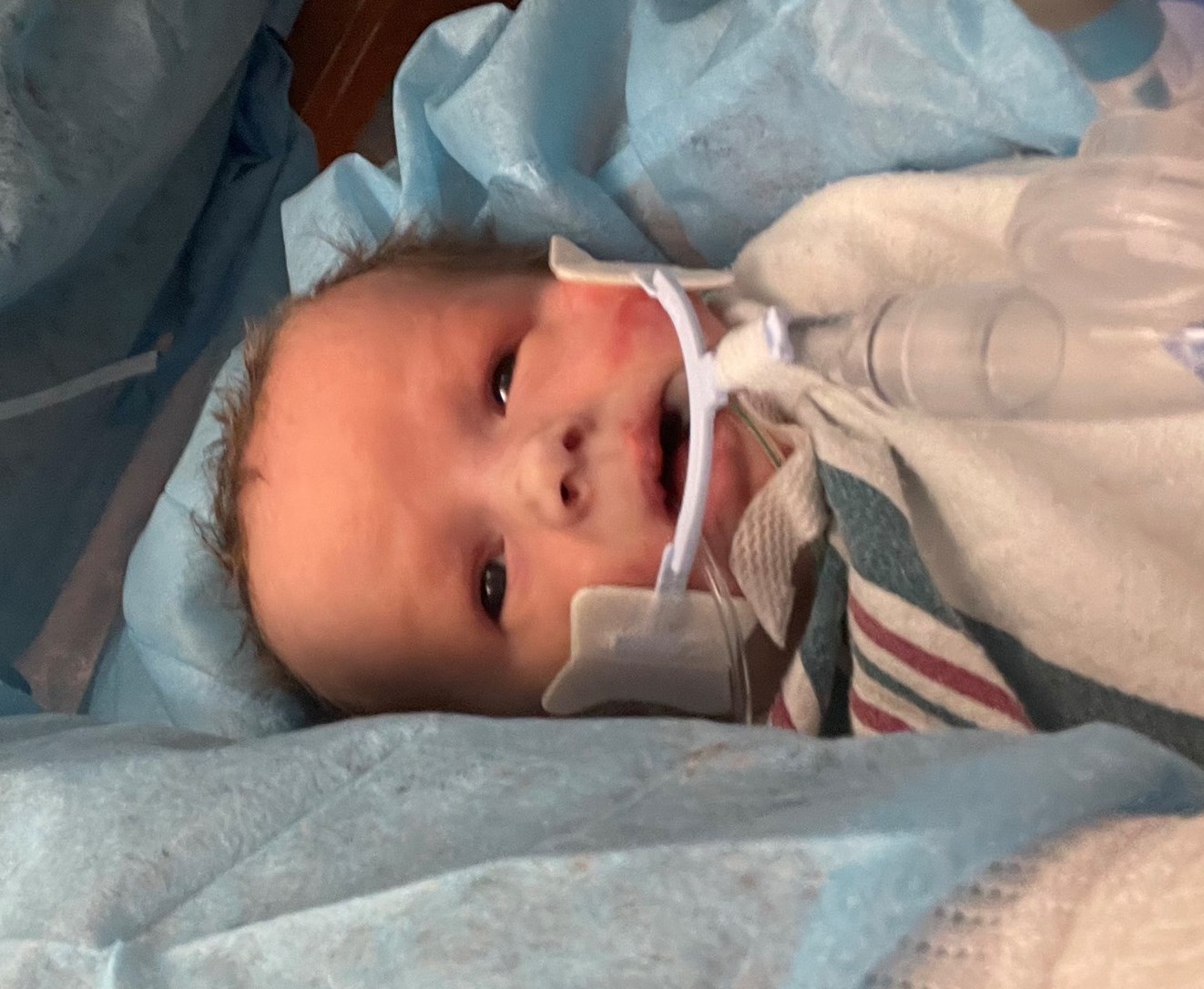 Karson A. Collins Obituary - Norwich, NY