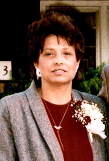 Shirlene Schmidt Obituary - Rockford, IL