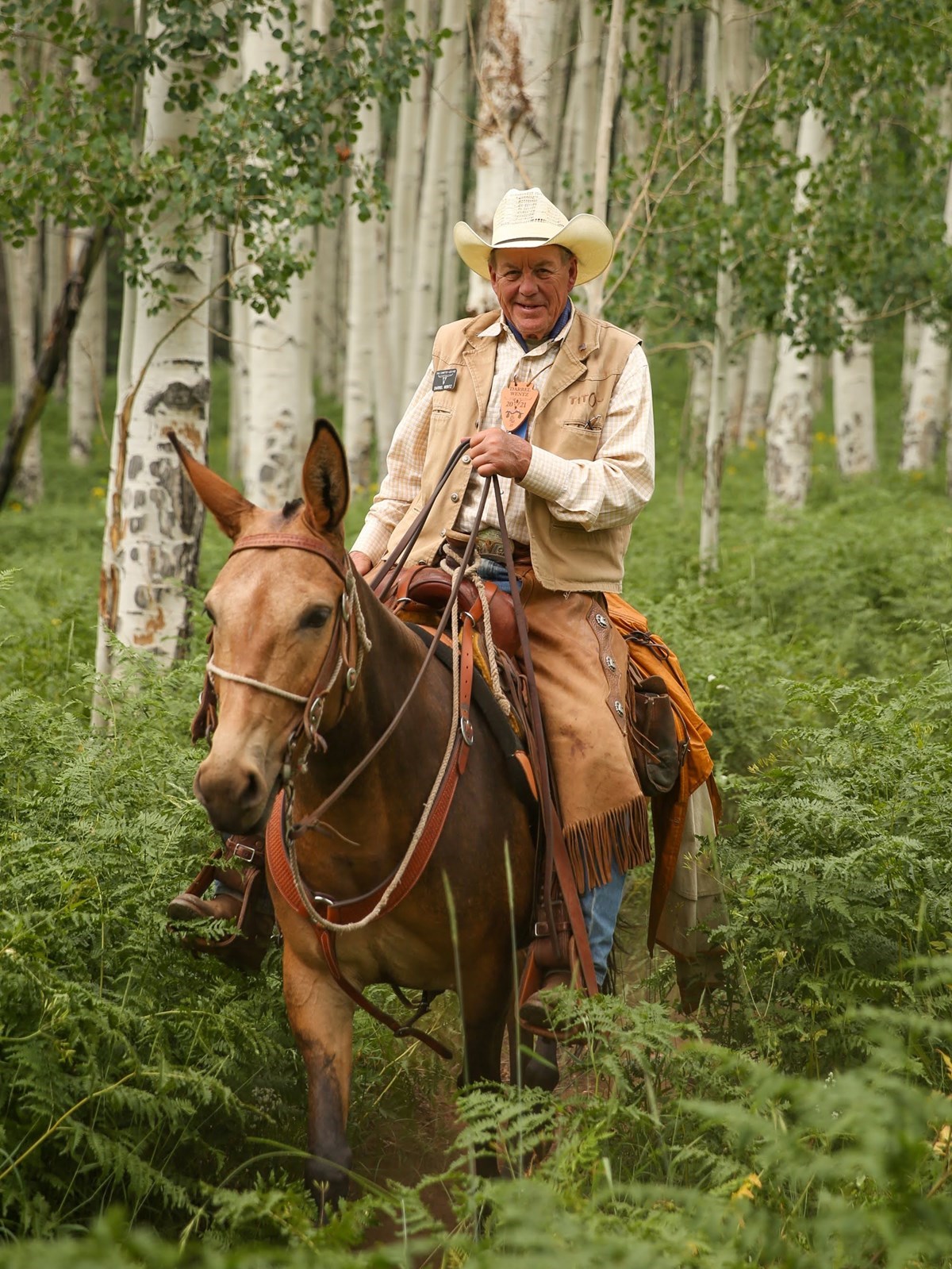 Darrel Wentz Obituary - Colorado Springs, CO