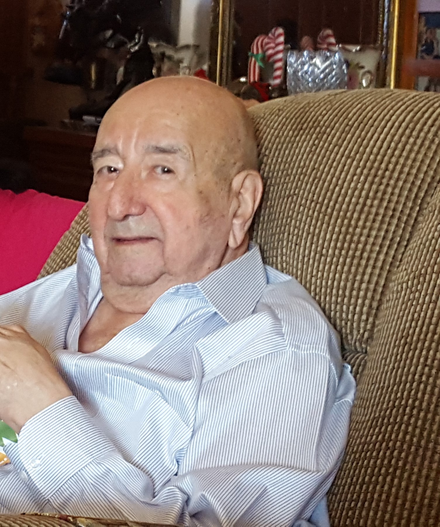 Joseph Falzone's Instagram, Twitter & Facebook on IDCrawl