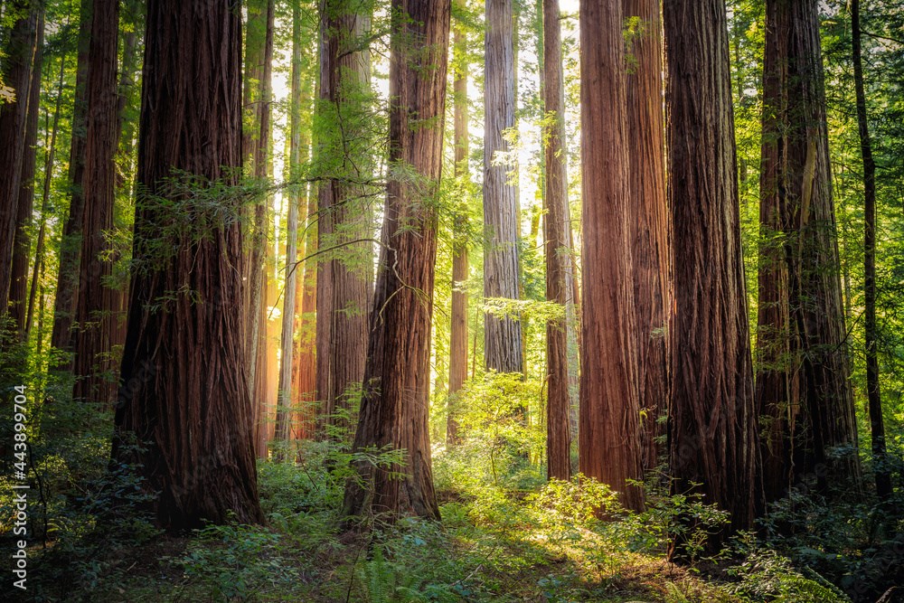 Robert Rycroft Obituary - Salem, OR