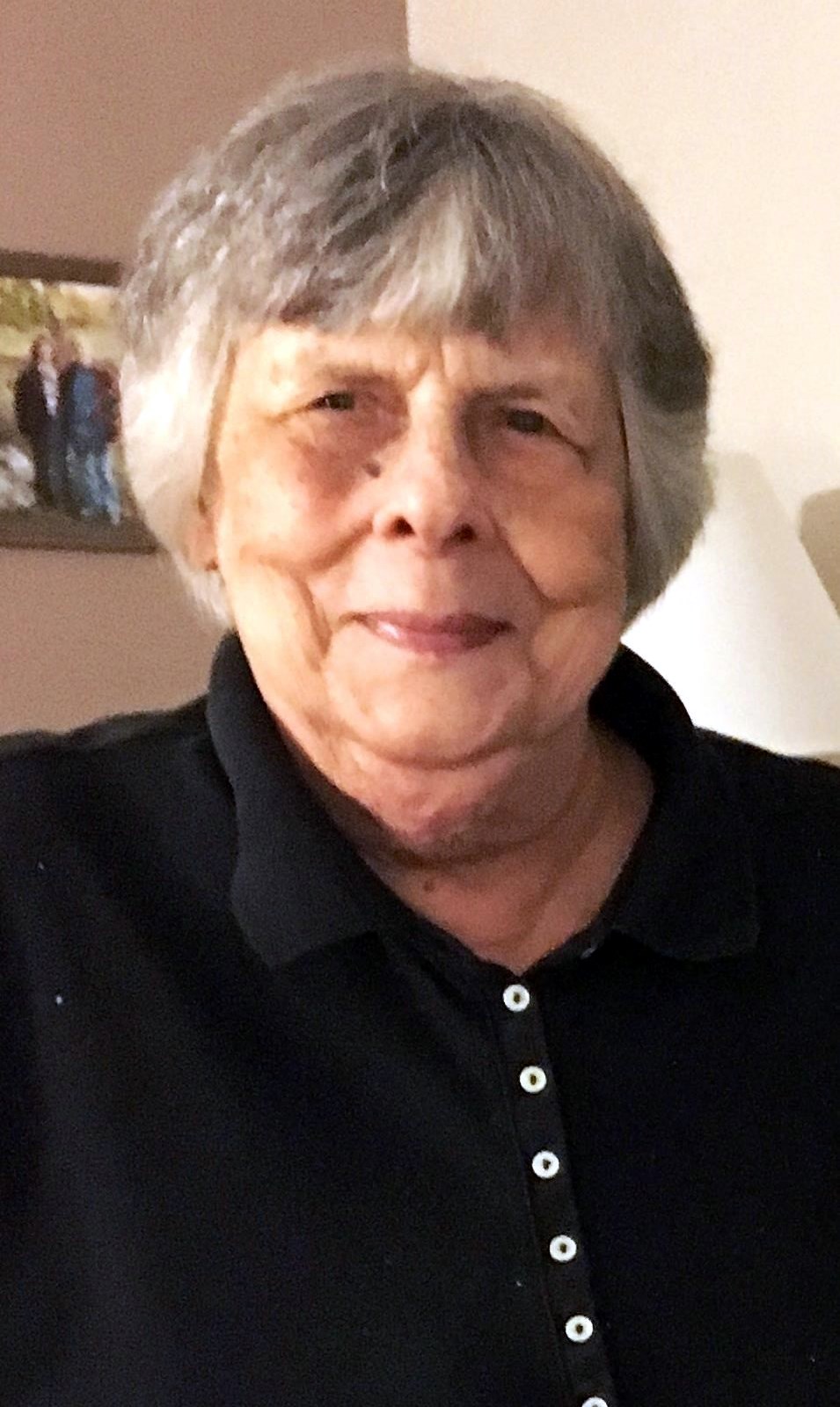Nancy Smith Obituary - Belleville, IL