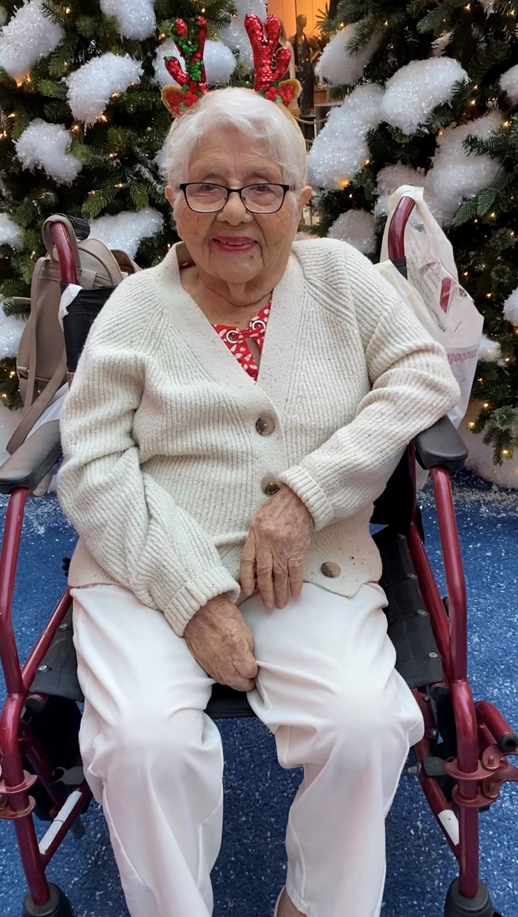 Iris Alvelo Alvarado Obituary - San Juan, PR