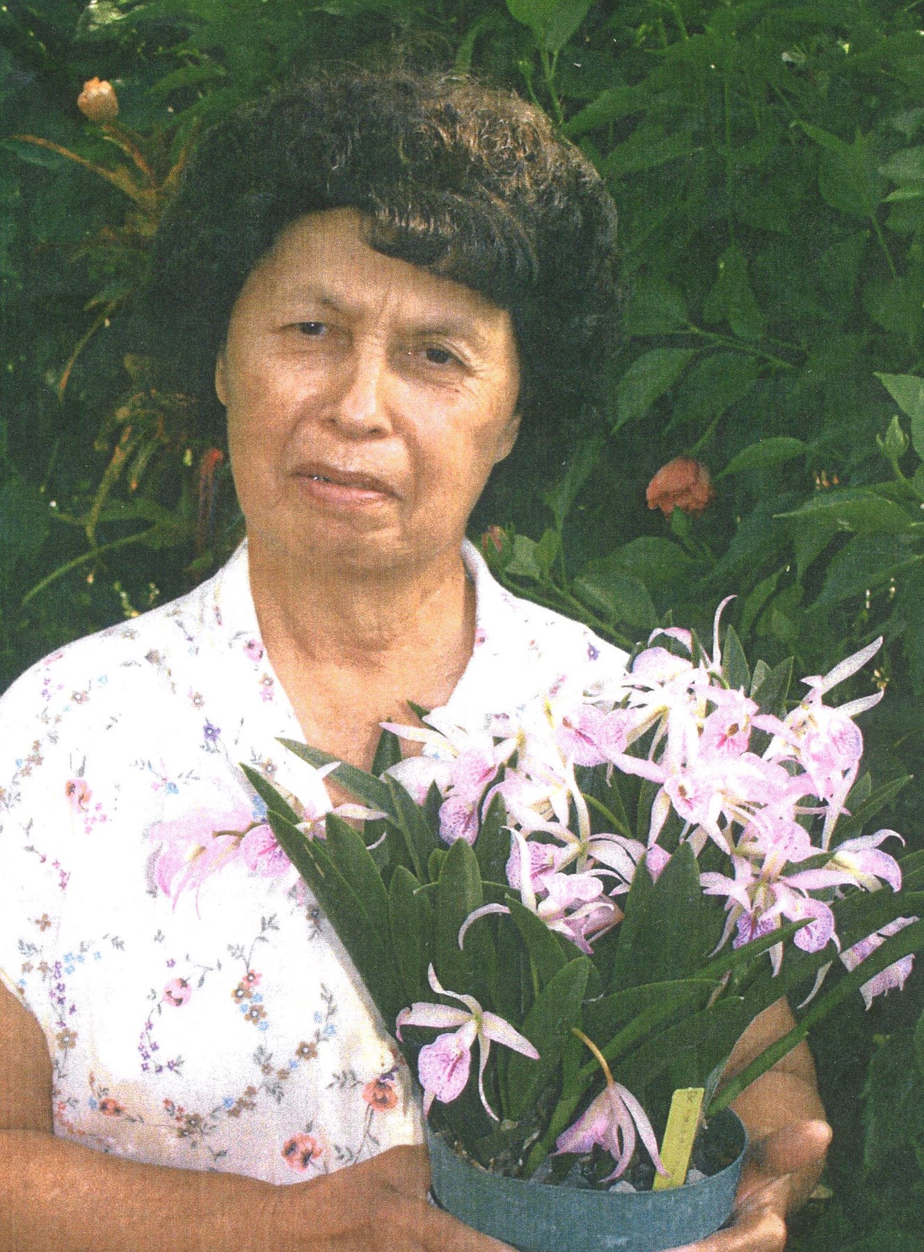 Gwendolyn Margaret Lui Obituary - Honolulu, HI