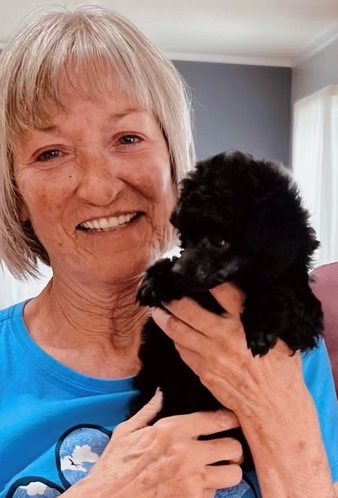 Linda Dellinger Obituary - Newton, NC