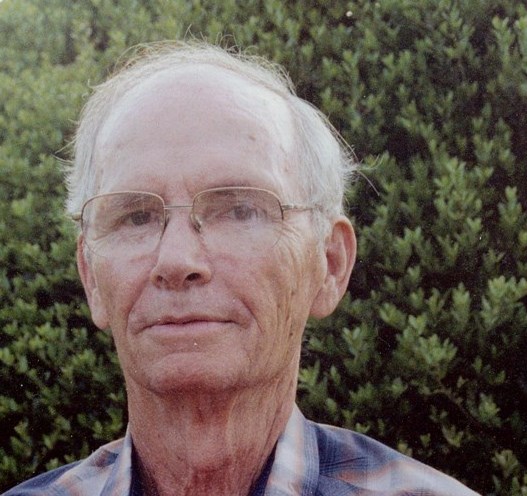John W. Burdine Obituary - Lisle, IL