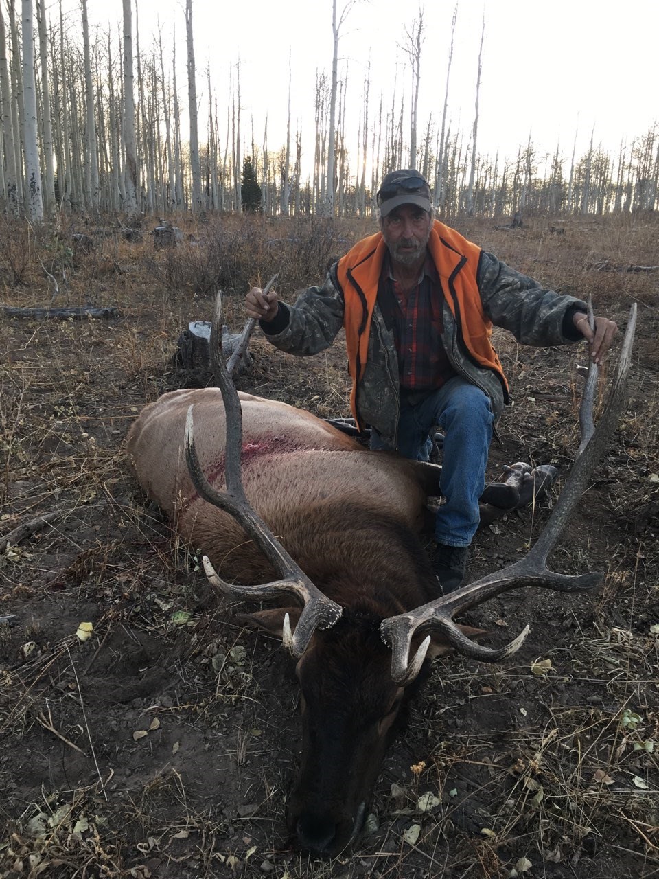 Joe Shrum Obituary - Grand Junction, CO