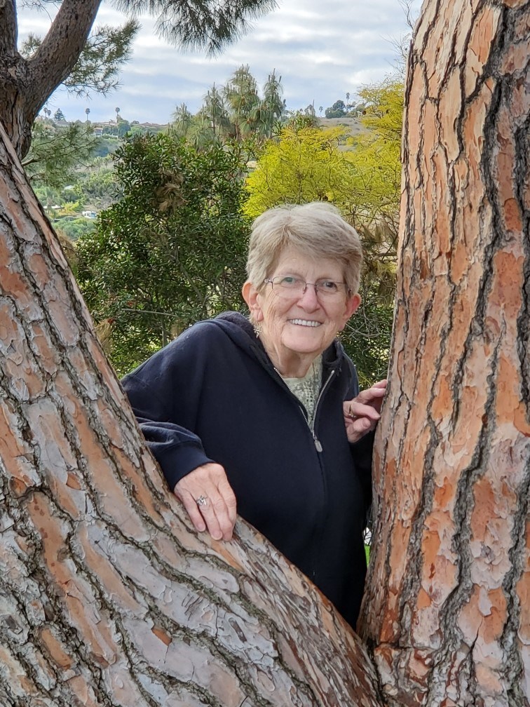 Sandra L. Hayes Obituary - Wichita, KS