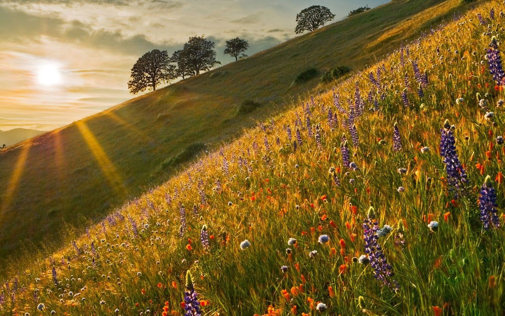 Joseph Richard Alexander Emmanuel Reny Obituary - Kelowna, BC