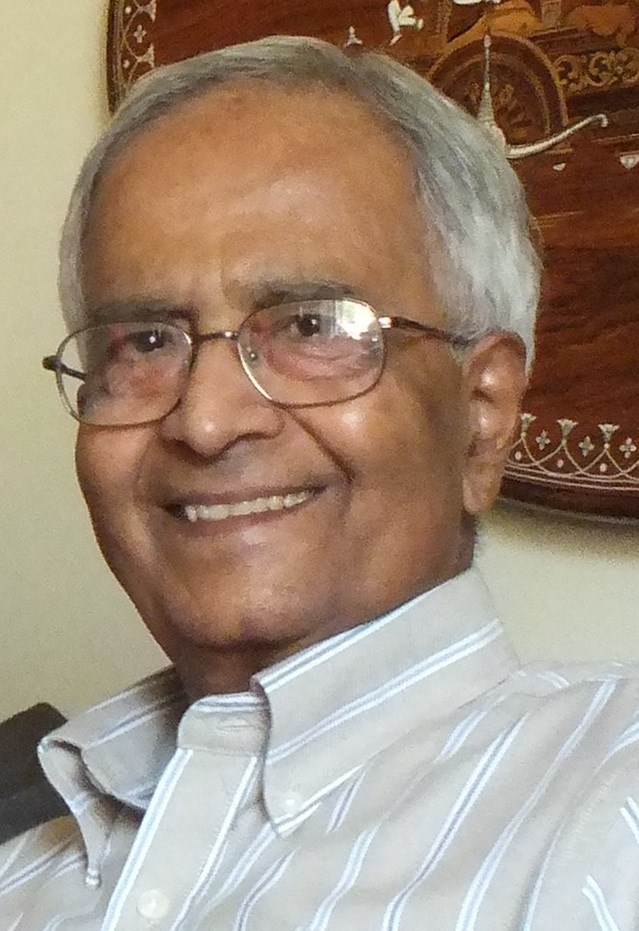 Raman Raman Obituary - Peoria, IL