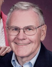 Robert Tomsovic Obituary - Arlington Heights, IL